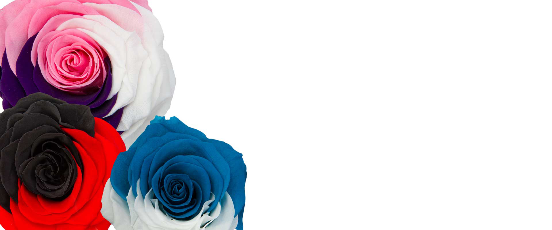 Home - So^Bella Flowers