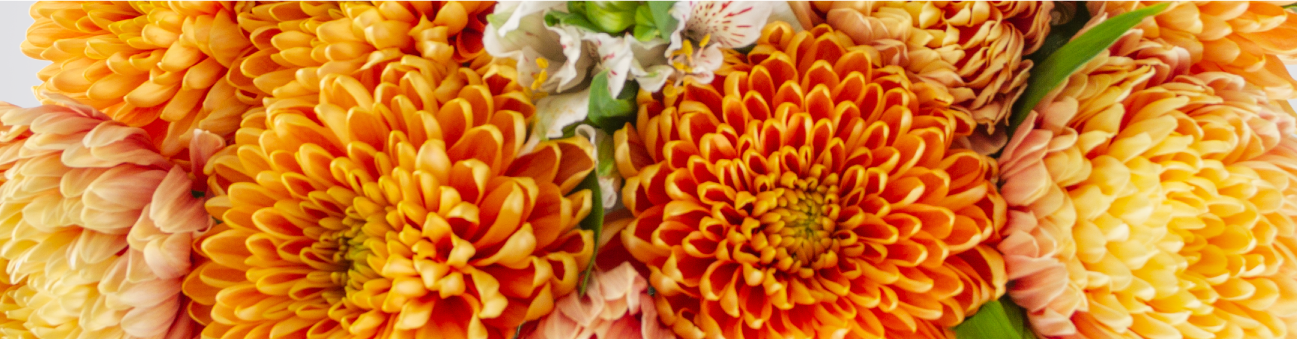 Home USA - So^Bella Flowers