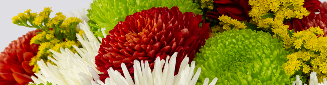 Home USA - So^Bella Flowers