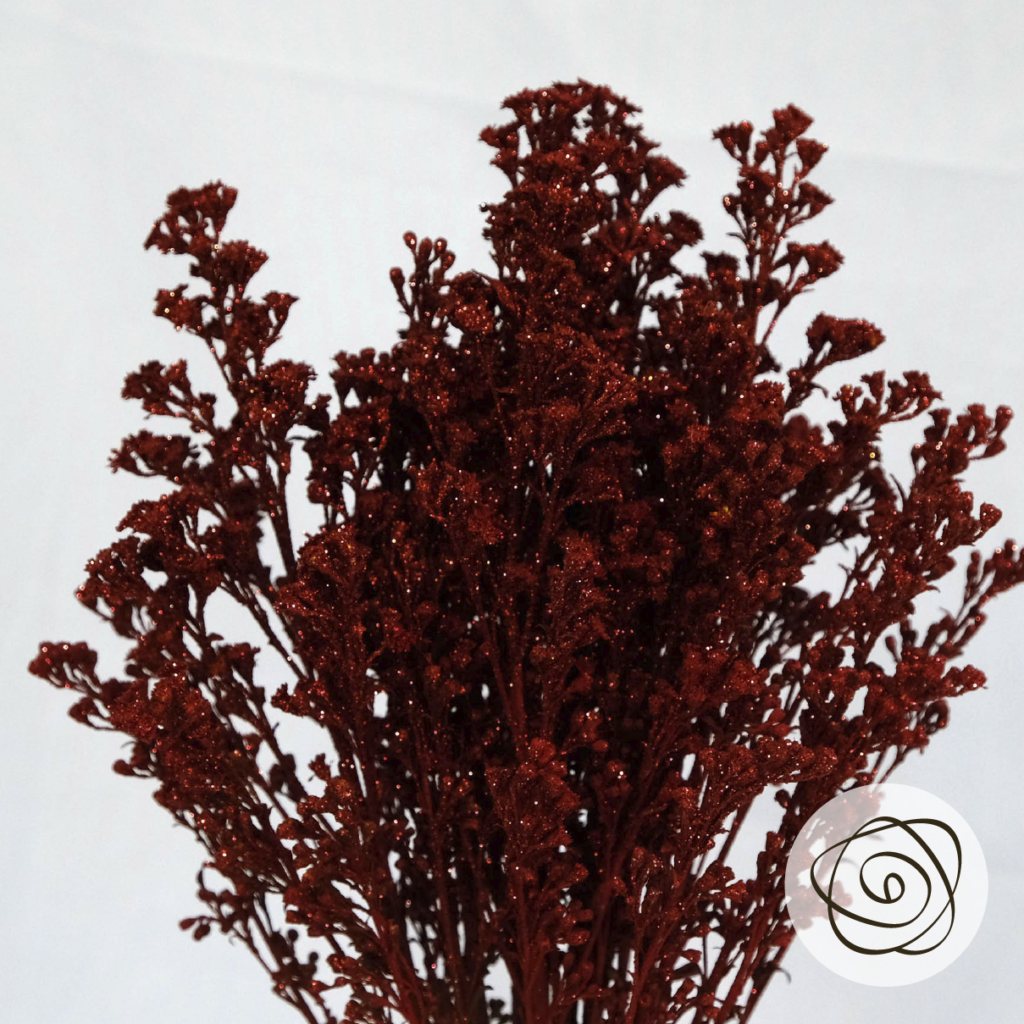 Glitter Red (Solidago) - So^Bella Flowers