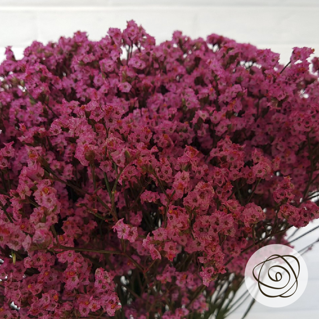 Pink (Limonium) - So^Bella Flowers
